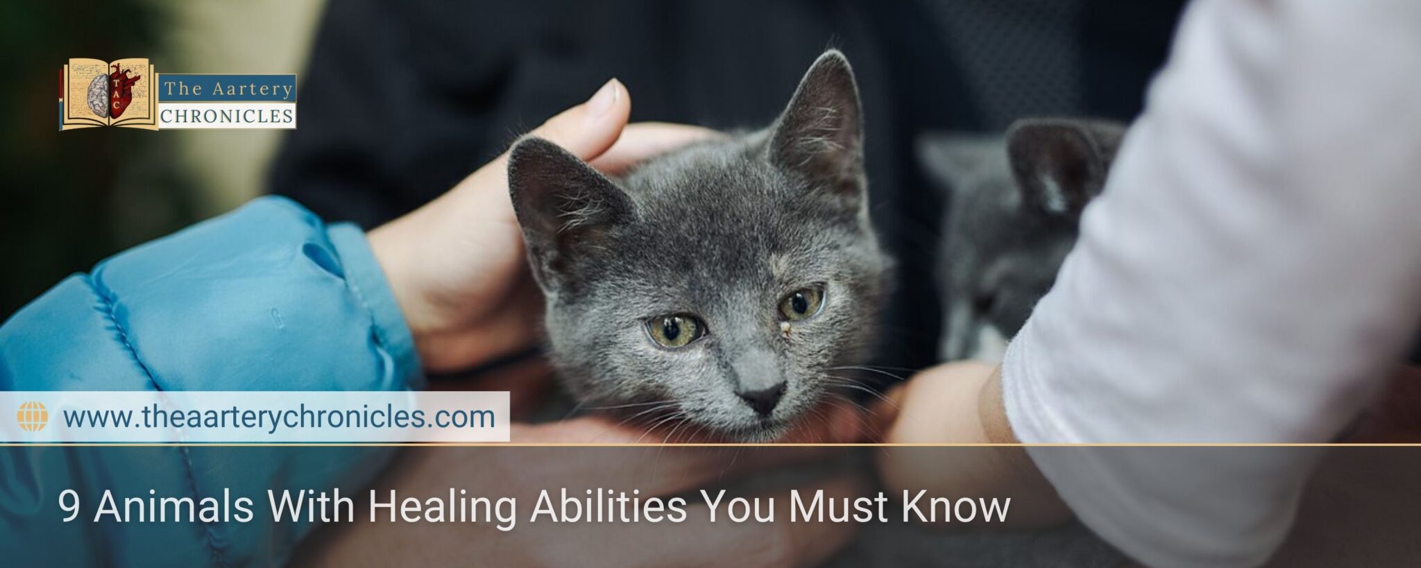 9 Animals With Healing Abilities You Must Know