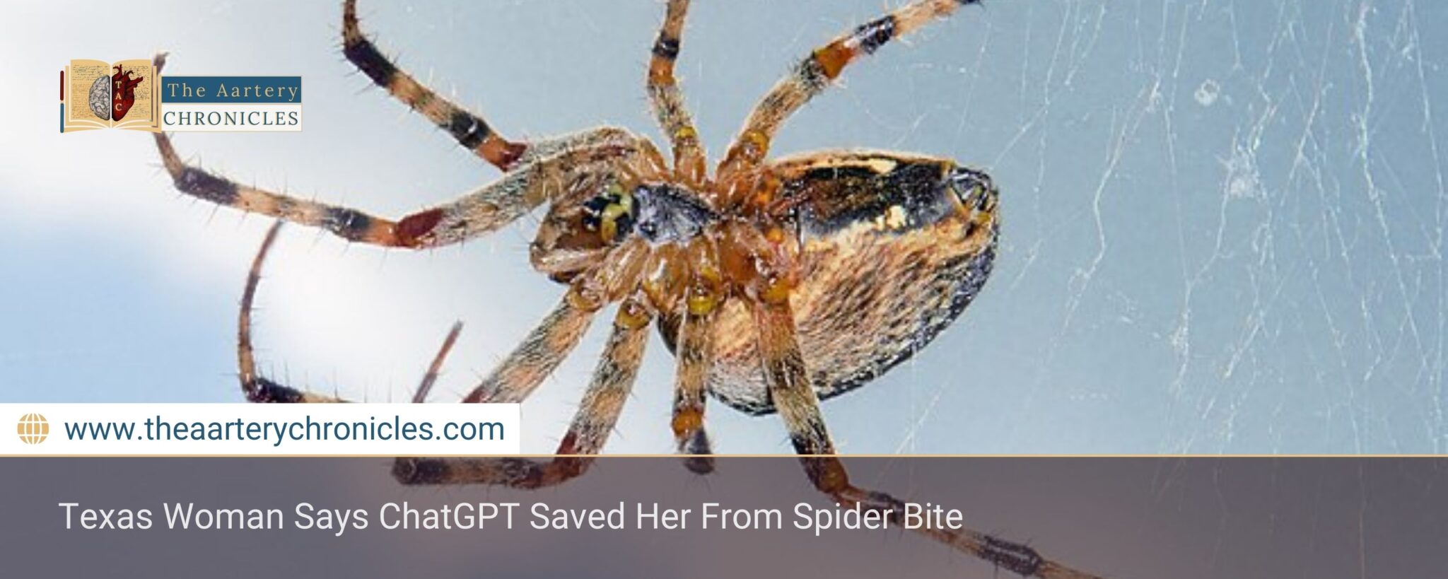 Texas Woman Says ChatGPT Saved Her From Spider Bite
