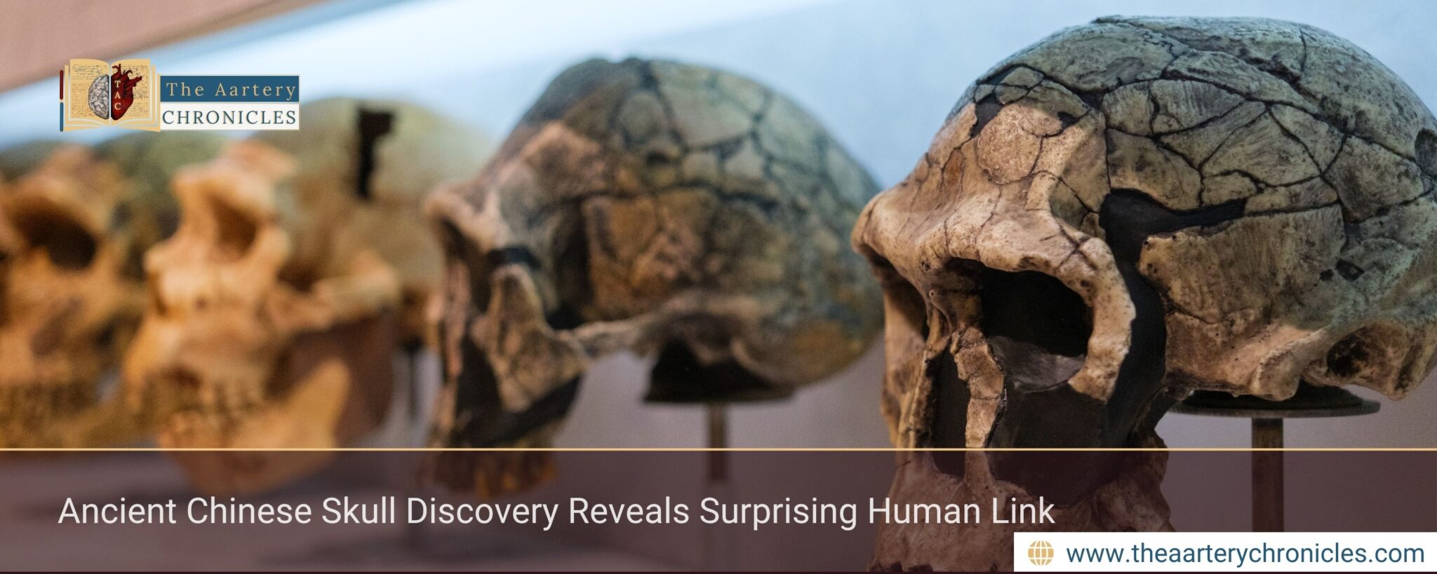 Ancient Chinese Skull Discovery Reveals Surprising Human Link