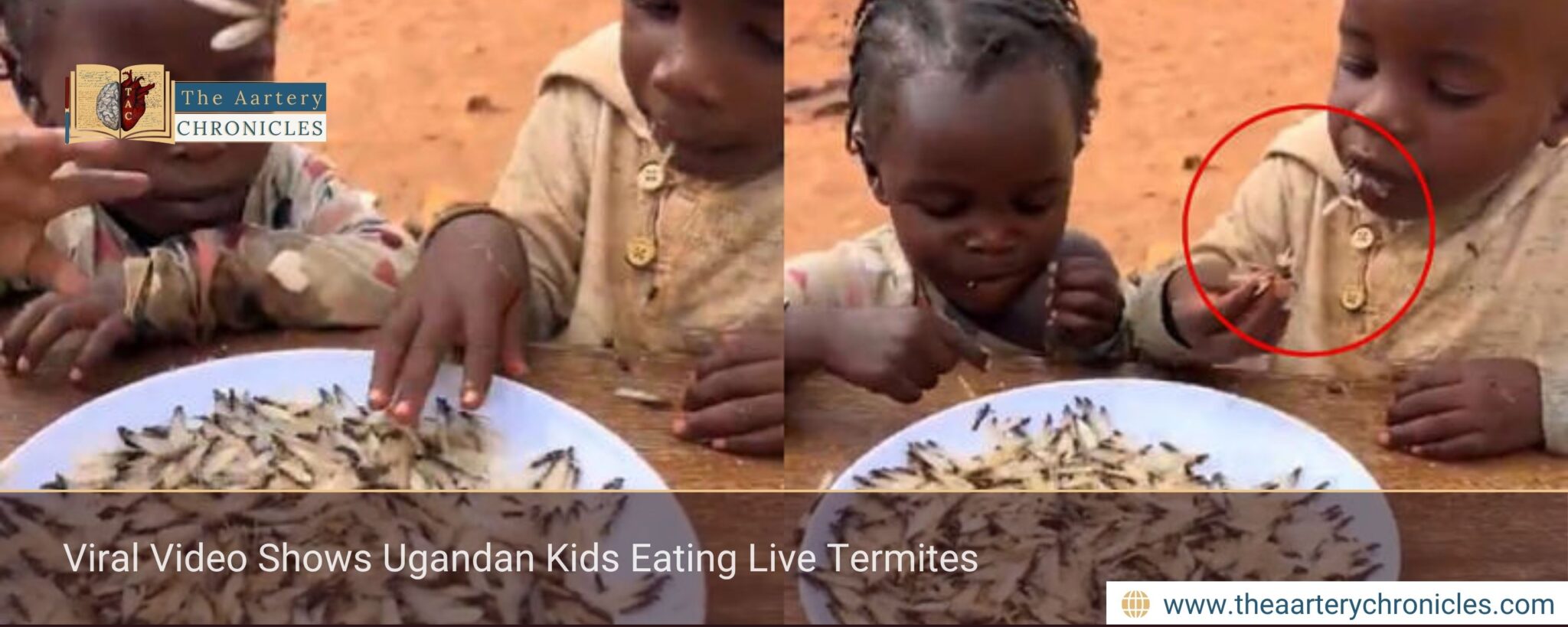 Viral Video Shows Ugandan Kids Eating Live Termites